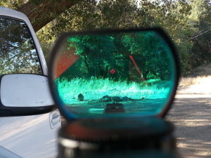 Tactical Rifle Sight Ultimate Arms Gear Red Dot Sight - 4 Reticle Open ...